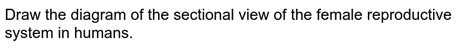 Draw The Diagram Of Female Reproductive System With Well Labelled