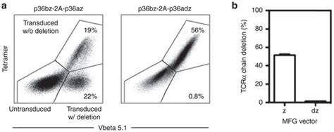 Degenerate Codon Substitution Prevents Intravector Deletion A Download Scientific Diagram