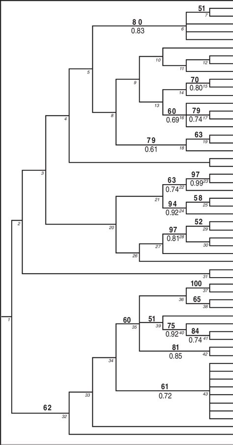 Strict Consensus Tree Of 450 Trees Of Length 1700 For The Combined 5s
