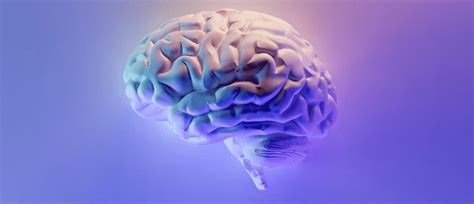 The Mind Science Behind Microlearning Elingua The Mind Science Behind Microlearning Elingua