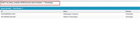 How To Avoid Soql Injection In Salesforce