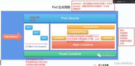 Pod的生命周期pod生命周期 Csdn博客