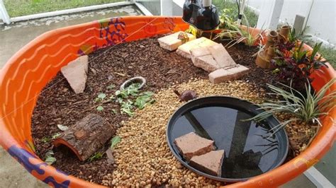 Homemade Tortoise House