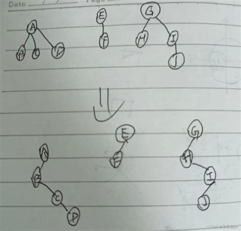 树【二叉树】与森林的相互转化与遍历 二叉树怎么转换成森林 csdn博客