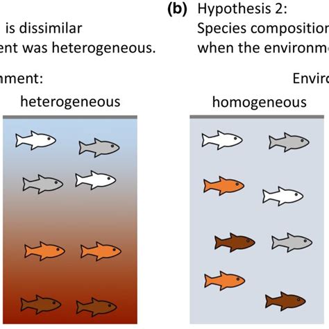 Two Alternative Hypotheses Regarding The Effect Of Environmental