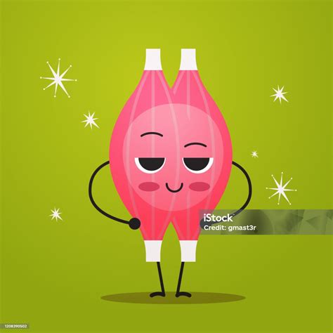 귀여운 근육 만화 캐릭터 재미 인간의 내부 기관 마스코트 해부학 의료 의학 개념 가공의 인물에 대한 스톡 벡터 아트 및 기타 이미지 가공의 인물 개념 건강 진단