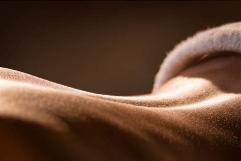 Types Of Sensual Massages Improve Your Sex Pleasure