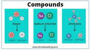 Worksheet Ionic Bonding Compounds By Coach Smith Science TPT