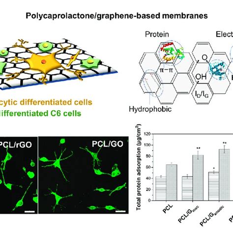Defective Graphene Based Nanomaterials Uniformly Dispersed In Pcl Flat