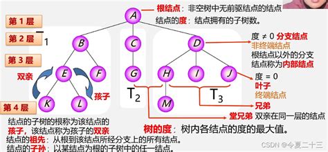 【数据结构】数据结构与算法基础 课程笔记 第五章 树和二叉树 配n个字符编码的头指针矢量的区别和联系 csdn博客