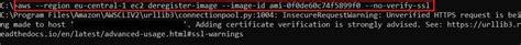 Delete Amazon Ami Image Using Aws Management Console And Aws Cli Commands