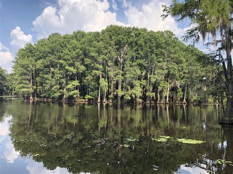 Uncertain Tx Caddo Lake 7 2018 R Texas