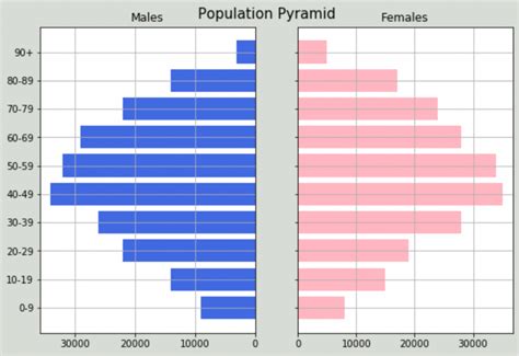 How To Create A Population Pyramid In Python