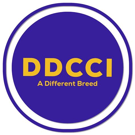DDCCI Bradenton YouTube