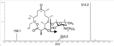 fig s5 esi ms ms fragmentation pattern of 15 download scientific