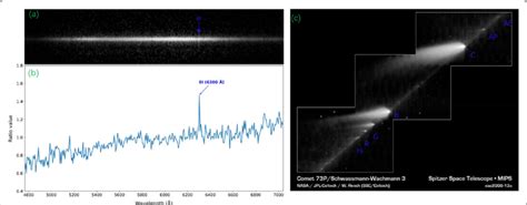A Optical Spectrum Of The Comet 73p C Schwassmann Wachmann 3 After