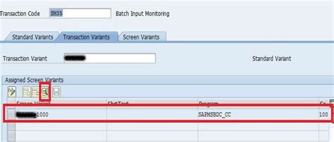 Sapall Authorization User Unable To Edit Display Fields