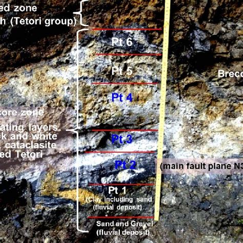 Exposure Of Shear Zone At Sako Sasz Along The Eastern Part Of The Download Scientific Diagram