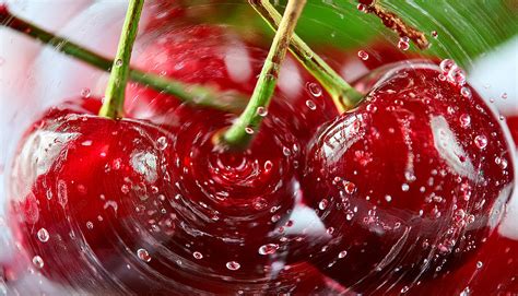 Juicy Red Cherries In Water Background Cherry Cherries Fruit