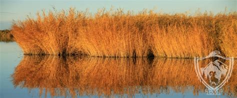 Хамгаалалт нэхсэн Хар ус нуурыг ЮНЕСКО гийн сүлжээнд бүртгүүлжээ