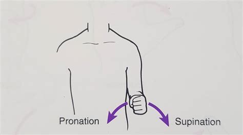 Range of Motion Exercises ករធវលហតកមរតចលន vechaksastra