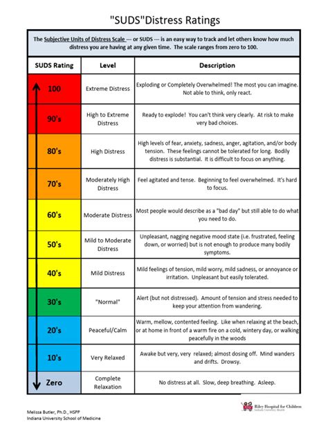 Suds Scale With Descriptions Pdf Emotions Subjective Experience