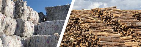 Europe Insights Paperboard Vs Plastic A Holistic Look Into The