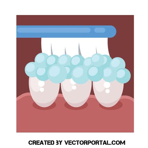 Tooth Brushing Vector Image