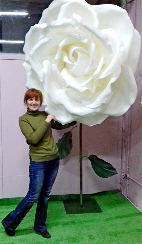 Пин от пользователя รากบัวหลวง на доске ดอกไม้ยัก Гигантские цветы Гигантские бумажные цветы