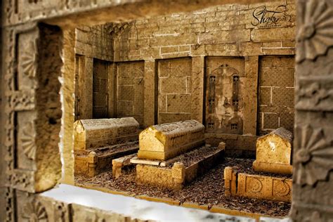 Shakir Ali Insearchpk