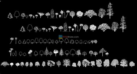 Trees Autocad Blocks Free Download Free Download Website Of Autocad Blocks For Designer Artofit