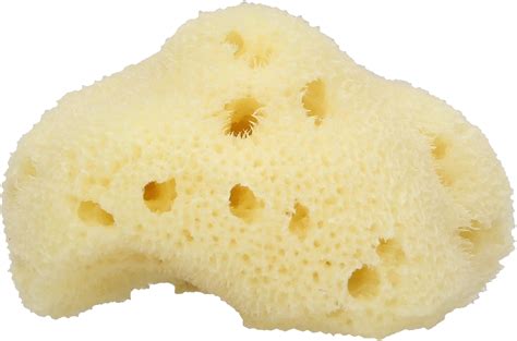 Sponge Household Cleaning Bath Texture Png