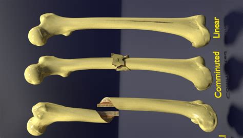 Artstation 3d Model Fracture Types Labelled Resources