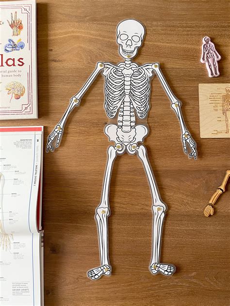 Movable Skeleton Diy Printable Halloween Skeleton Craft Etsy