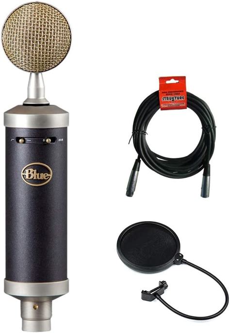 Amazon Com Blue Baby Bottle SL Studio Condenser Microphone With 20 XLR Cable Pop Filter