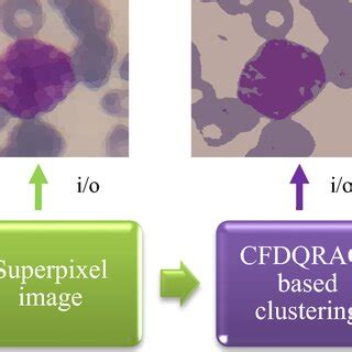 Flowchart Of The Proposed WBC Segmentation Technique Download Scientific Diagram