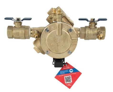 Febco 825y Backflow Preventer