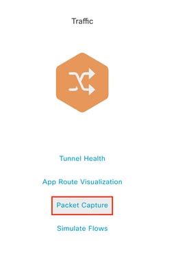 SD WAN vManage에서 패킷 캡처 수행 Cisco
