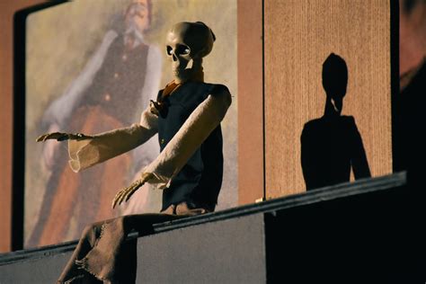 Le Petit Kamishiba Du Frisson