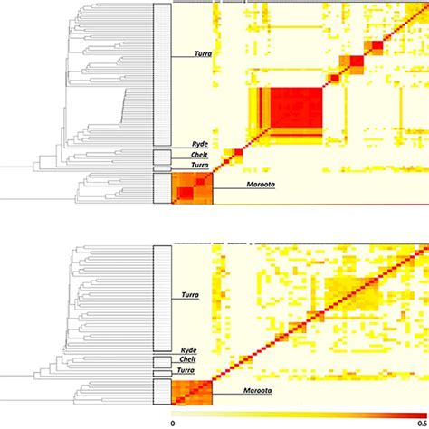 Composite Upgma Treekinship Heatmap Analyzed From Single Nucleotide