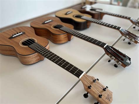 일산파주 1인 1악기 시대 나도 우쿨렐레 연주자가 될 수 있어요 솜씨당