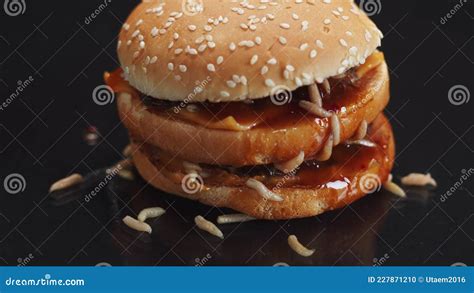 Closeup Of Burger On Which Maggots Crawl And Fall Out On Dark