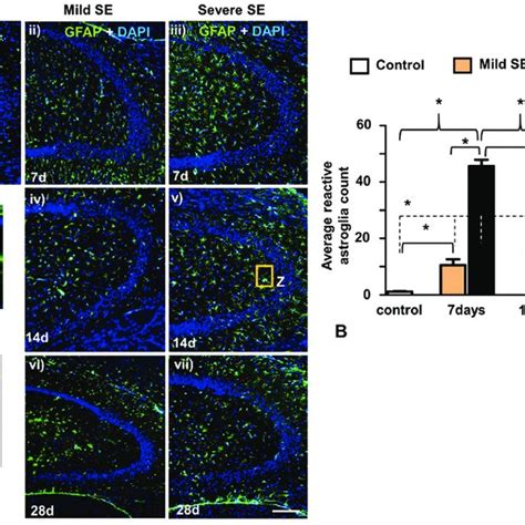 Dipolar Cycloadditions Of Tms Diazomethane And Cinnamate Esters Download Table