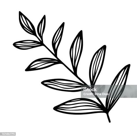나뭇잎으로 분기합니다 손으로 그린 검은 낙서 는 식물 나뭇 가지의 실루엣을 윤곽 흰색 배경에 격리된 스톡 벡터 최소 그림 나뭇