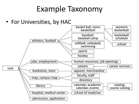 ppt building taxonomy of web search intents for name entity queries
