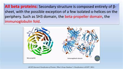 Protein Structure Classification Domain Prediction Scop And Cath Bioinformatics Pdf