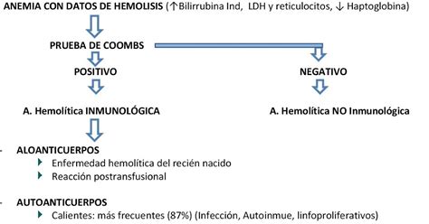 Gestión Bioquímica Proactiva Algoritmo Diagnóstico De Las Anemias