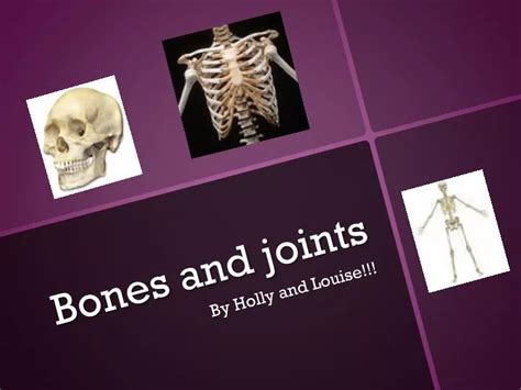 Ppt Bones And Joints Powerpoint Presentation Free Download Id 2778166
