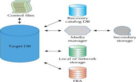 Install Oracle Database On Any Environment By Waqas7pk Fiverr