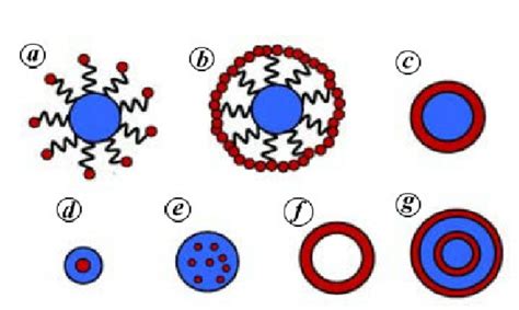 1 Variety Of Different Core Shell Particles A Surface Of The Core Download Scientific